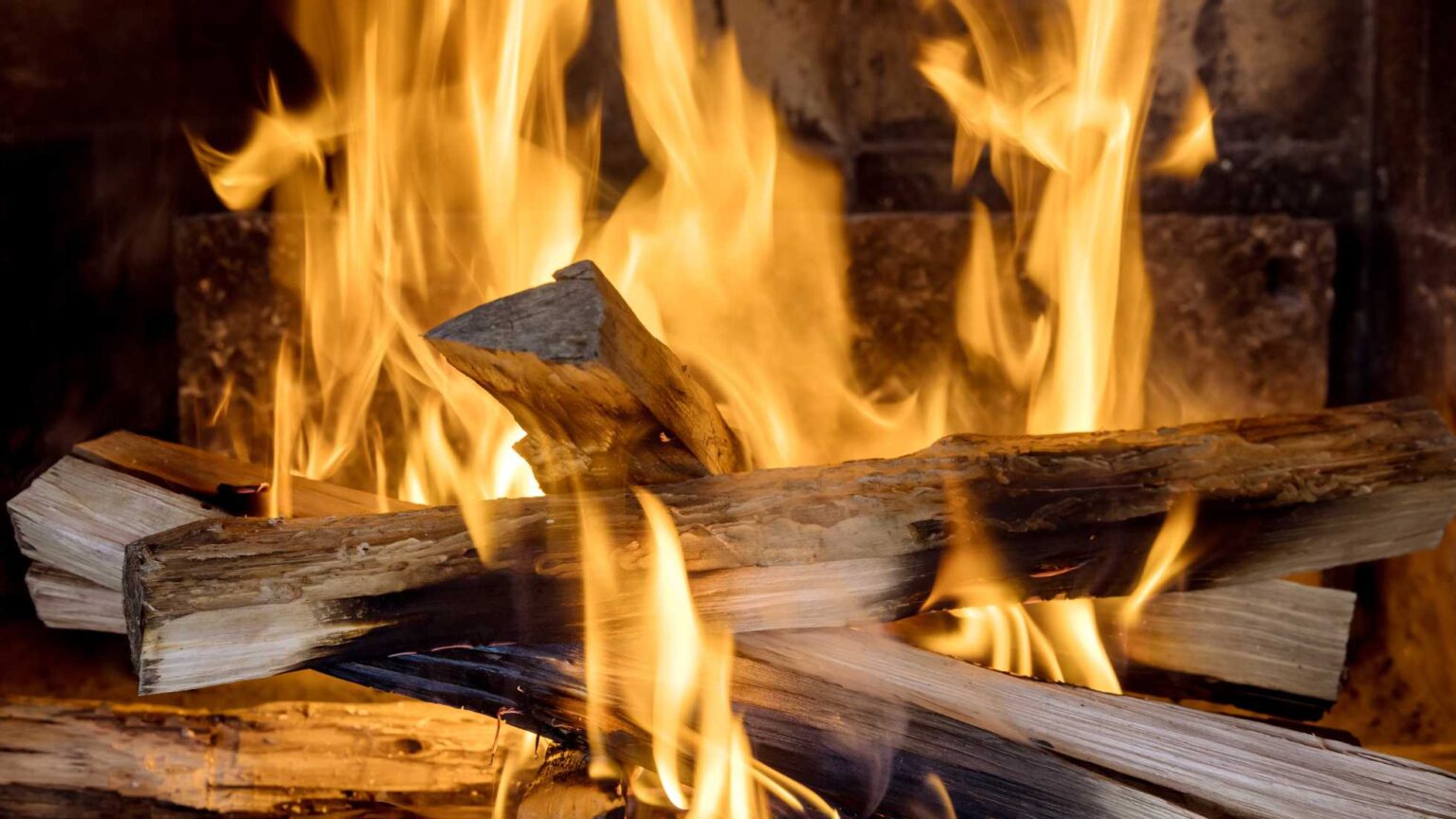 Die Perfekte Vuurhout vir ‘n Smulbraai: ‘n Afrikaanse Gids - Netbraai